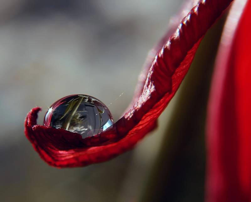 Crystal Clear Reflections